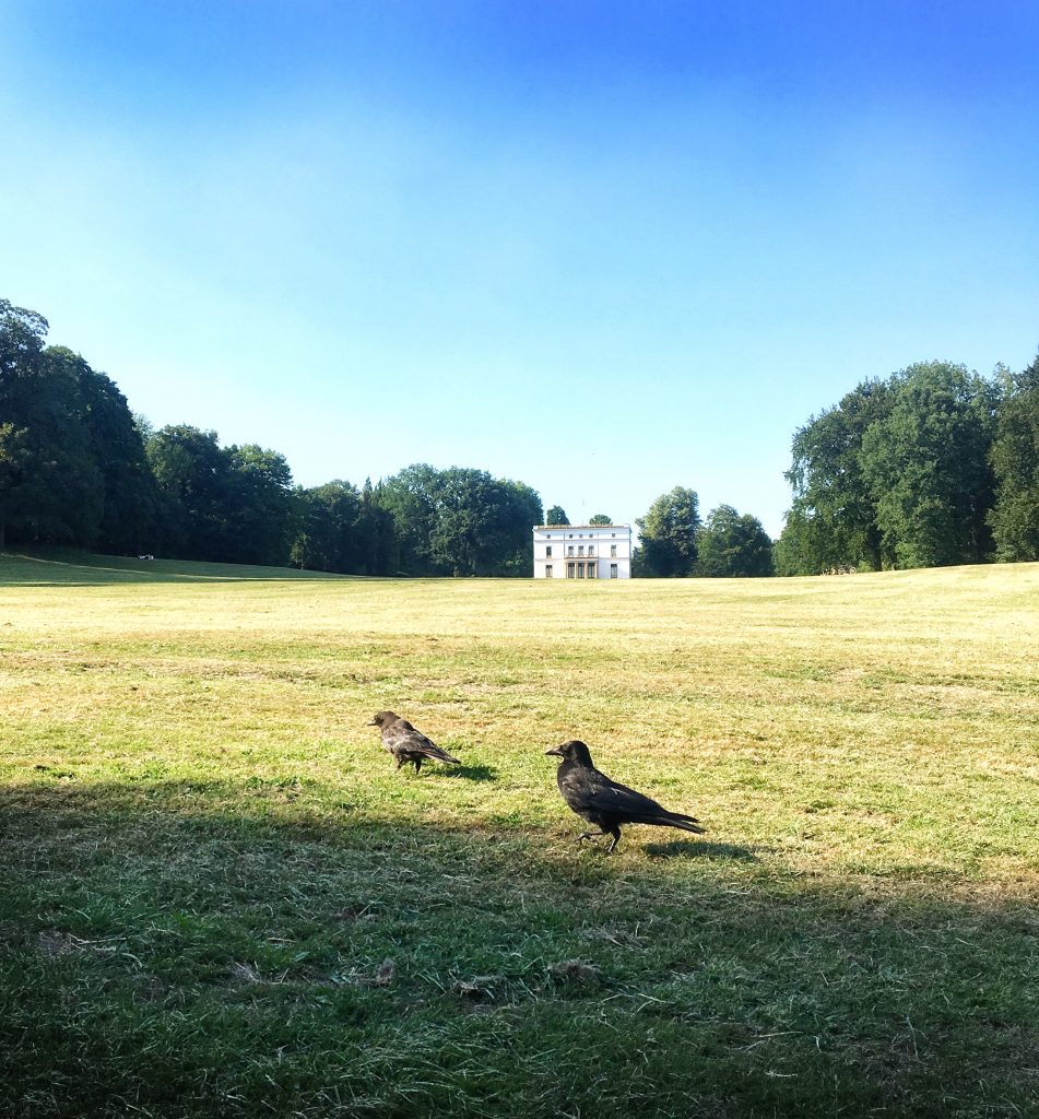 Jenisch Park: Die schönsten Parks in Hamburg Frau Elbvilles Tipps auf ...